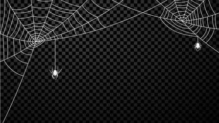Spider Web Transparent Background Vector Images (over 420)