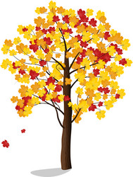 Autumn Royalty Free Vector Image - VectorStock