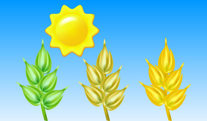 Maturity Symbol Vector Images (over 4,500)