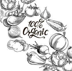 Organic Calligraphy Natural Vector Images (over 12,000)
