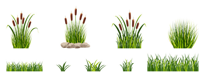 Marsh Grass Vector Images (over 920)