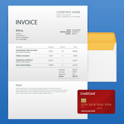 Credit card bank account statement template Vector Image
