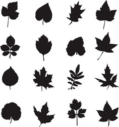 Black leaves Royalty Free Vector Image - VectorStock