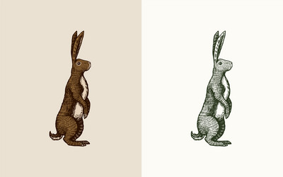 Vintage Rabbit Etching Vector Images (over 180)