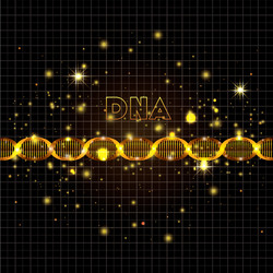 Golden Dna Vector Images (over 1,000)