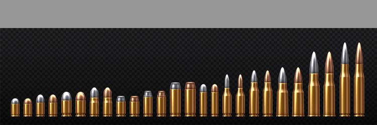 Silver and gold bullets set Royalty Free Vector Image