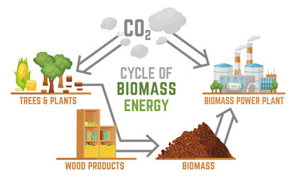 Biomass energy landscape poster with useful Vector Image