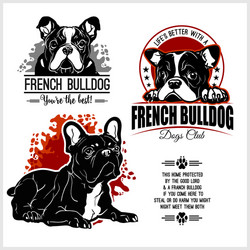 Cute French Bulldog Logo Royalty Free Vector Image