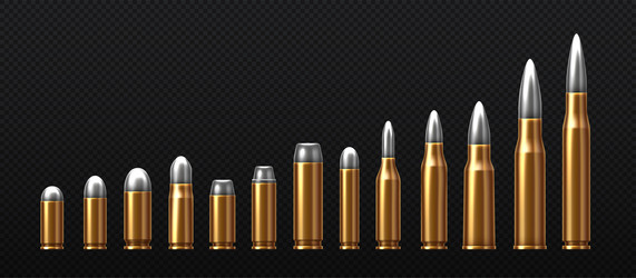 Silver and gold bullets set Royalty Free Vector Image