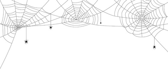 Spider Hanging From Web Vector Images (46)