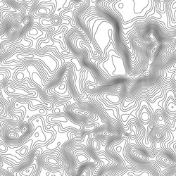 Seamless pattern topographic map background Vector Image