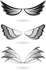 Angel Wings Frame Vector Images (over 1,600)