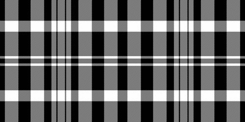 Black and White Plaid Pattern Royalty Free Vector Image