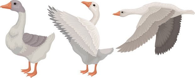 Long Neck Vector Images (over 6,700)