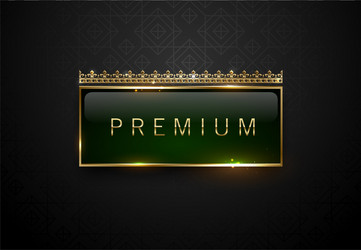 Premium black green label with golden frame Vector Image