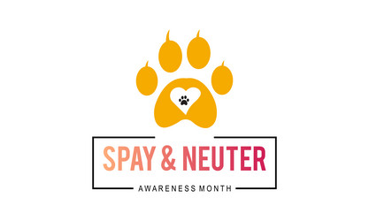 Spay and neuter awareness month template Vector Image