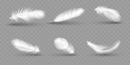 Realistic fluffy feathers falling twirled plumage Vector Image