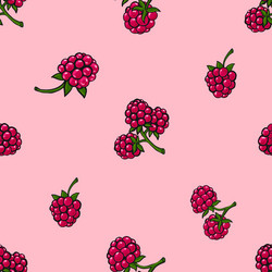 Seamless pattern of berries Royalty Free Vector Image