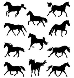 Harness Racing Silhouette Royalty Free Vector Image