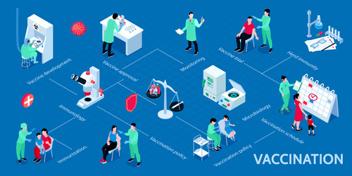 Influenza infographics Royalty Free Vector Image