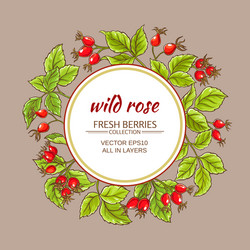 Wild rose flowers frame Royalty Free Vector Image