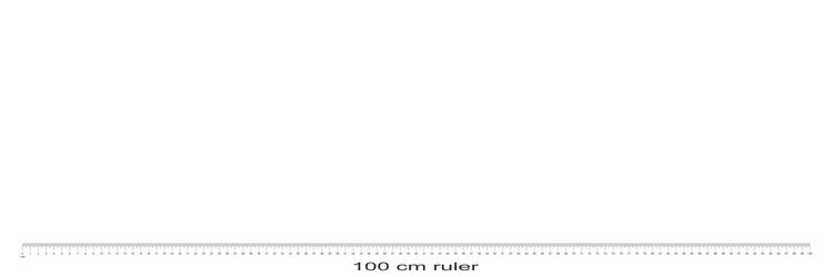 Ruler cm measurement numbers scale Royalty Free Vector Image