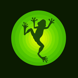 Green Tree Frog Vector Images (over 1,200)