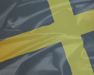 Welsh dragon saint david flag Royalty Free Vector Image