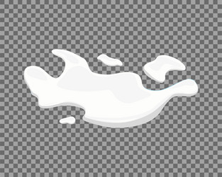 Milk spill on a transparent background puddle Vector Image