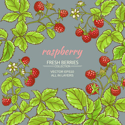 Raspberry Vector Images (over 27,000)