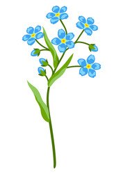Forget Me not Vector Images (over 2,200)