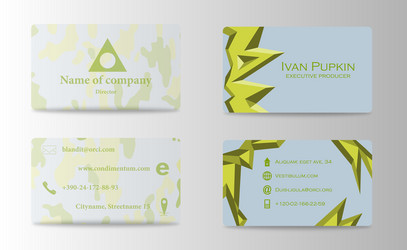 Visit card background Royalty Free Vector Image