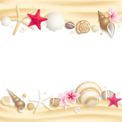 Seashell header Royalty Free Vector Image - VectorStock