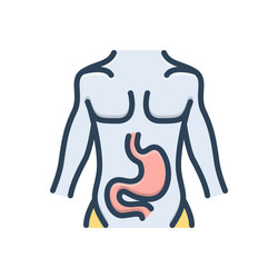 Stomach Royalty Free Vector Image - VectorStock