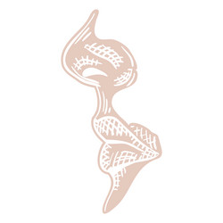 Nose cut out Royalty Free Vector Image - VectorStock