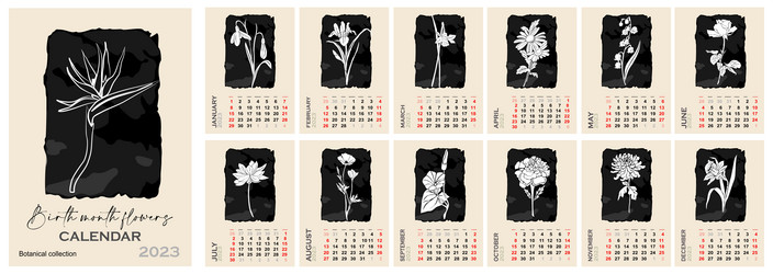 Floral monthly calendar template for 2024 Vector Image