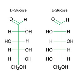 Alpha Glucose Structure