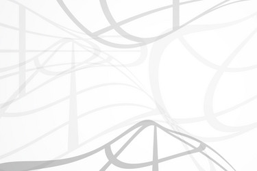 Background lome map togo white and light grey Vector Image