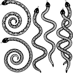 Snake catcher silhouette Royalty Free Vector Image