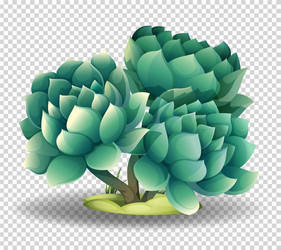 Cactus Transparent Background Vector Images (over 350)