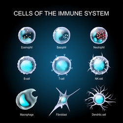 Dendritic Cell Immune Vector Images (57)