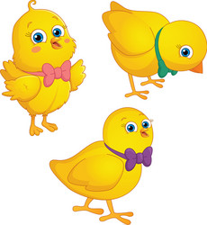 Cartoon chick Royalty Free Vector Image - VectorStock