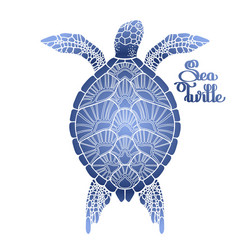 Hawksbill sea turtle collection Royalty Free Vector Image