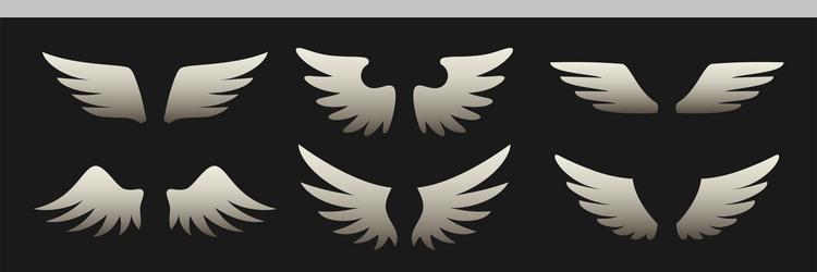 Angel wing metallic gold heraldic logo flat set Vector Image