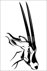 Gemsbok Vector Images (78)