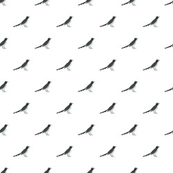 Magpie Vector Images (over 1,200)
