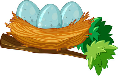 Bird nest on tree branch Royalty Free Vector Image