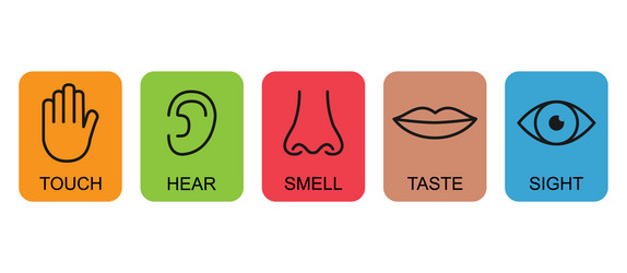 Outline icon set of five human senses vision eye Vector Image