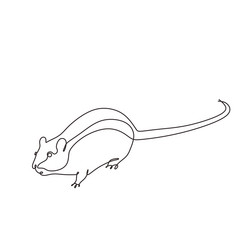 Mouse hand drawn Royalty Free Vector Image - VectorStock