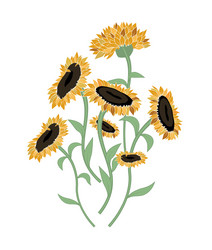 Sunflower Vector Images (over 43,000)